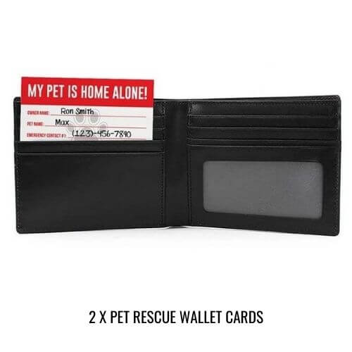 Woofy™ - Texas Pet Rescue