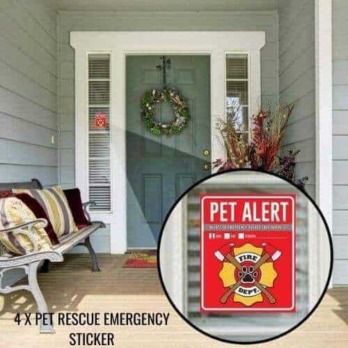 Woofy™ - Texas Pet Rescue